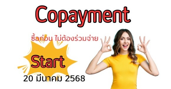 Copayment คืออะไร? เข้าใจก่อนเลือกประกัน - Digital Office