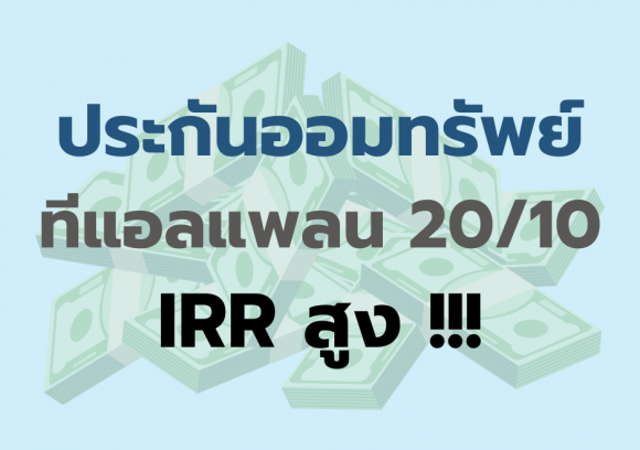 ประกันออมทรัพย์ ทีแอลแพลน 20/10 IRR สูง - Digital Office