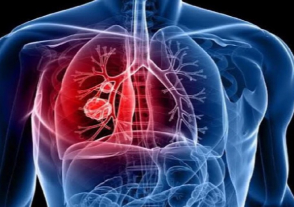 พร้อมเปย์108 - Digital Office